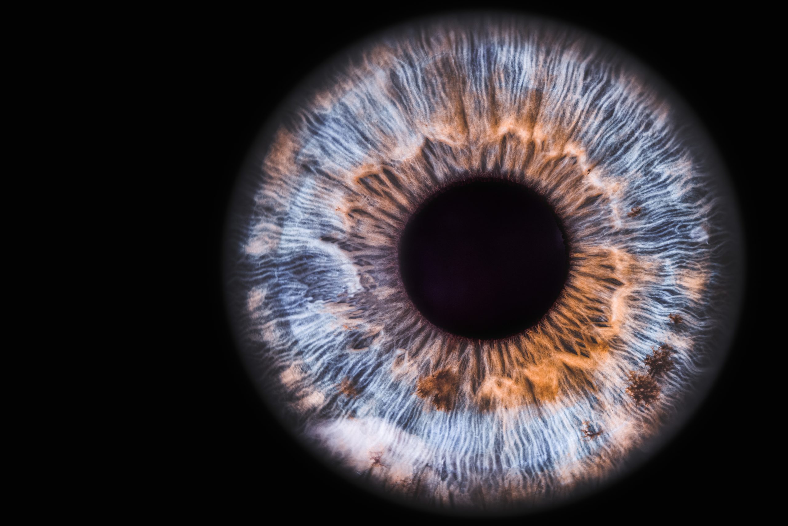 Aequitas AG - Digitalisierung gestalten.